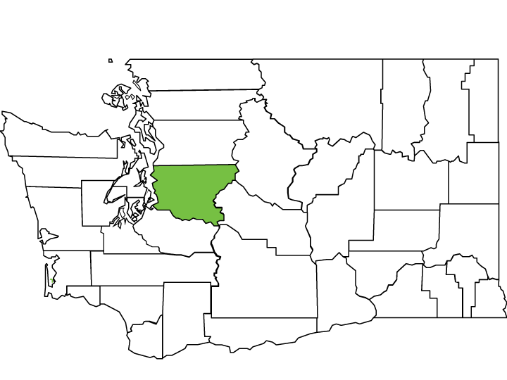King County Spotlight – Washington State Association of Counties