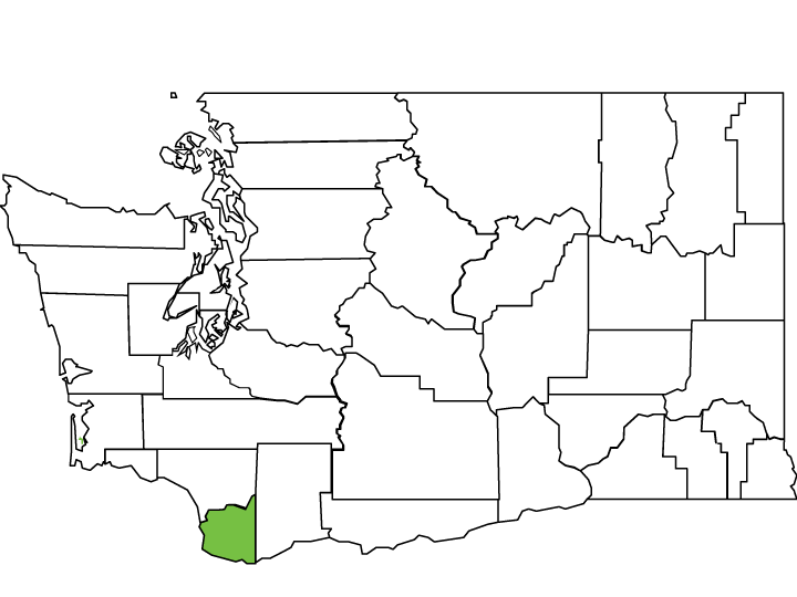 Clark County Spotlight – Washington State Association of Counties